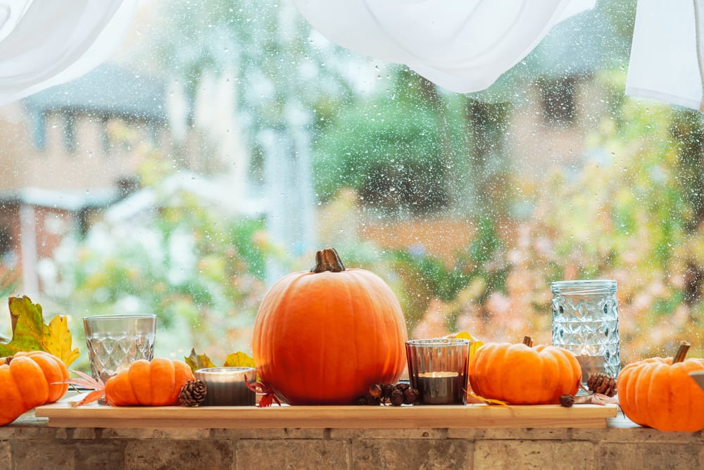 Getting Your Windows Autumn Ready